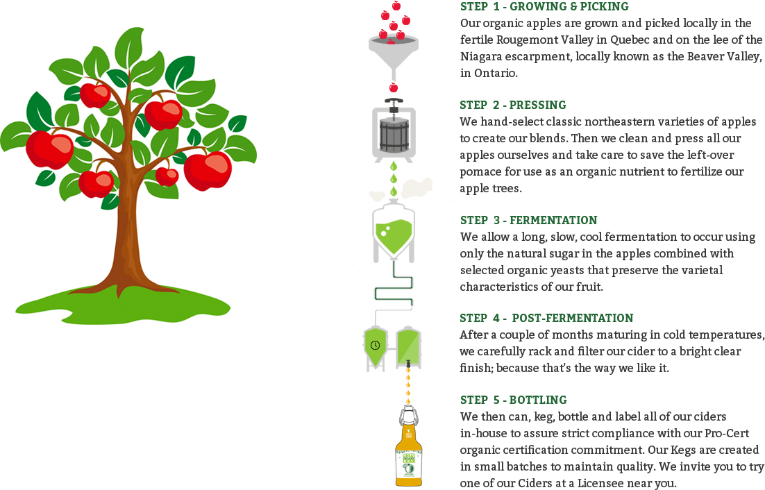 Download Apple Tree Vector Png - ClipartKey