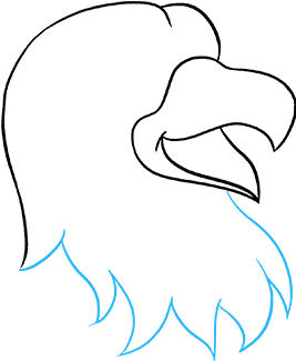 Download How To Draw Cartoon Hawk - ClipartKey