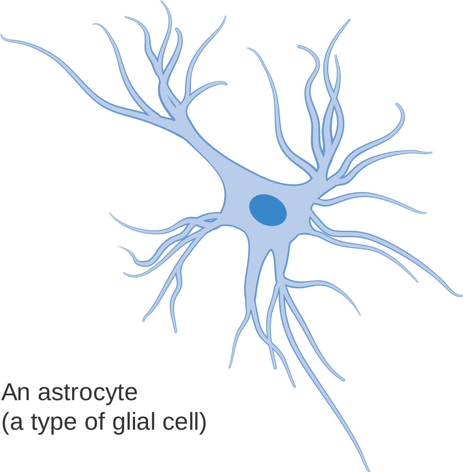 Download Glial Cells - ClipartKey