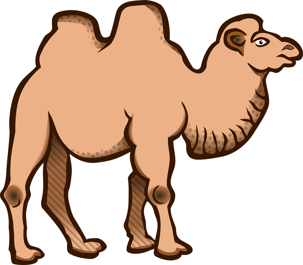 Download Clipart Camel Coloured - Camel White And Black - ClipartKey