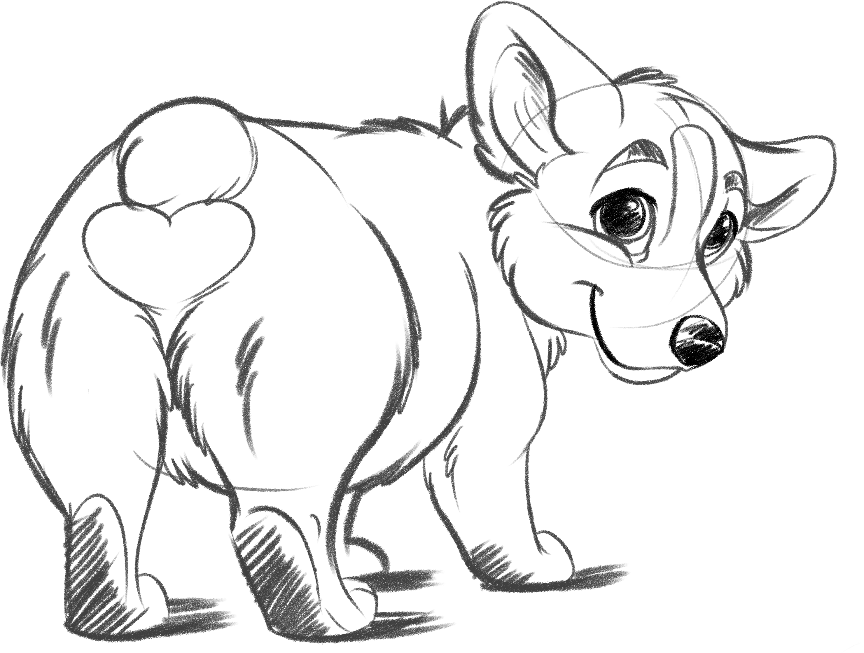 Download Transparent Corgi Png - Corgi Lineart - ClipartKey