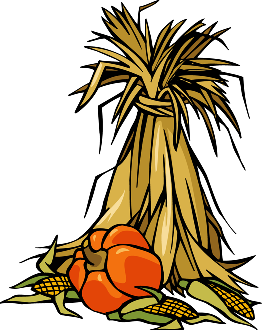 Download Transparent Corn Stalk Png - Fall Corn Stalk Clipart - ClipartKey