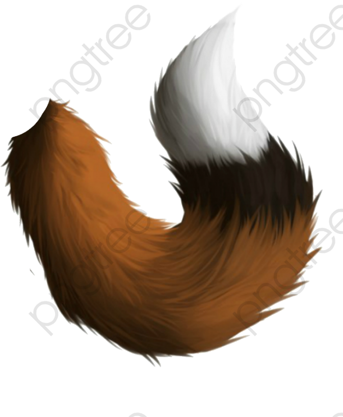 Download Fox Tail Png - Furry Tail Transparent - ClipartKey