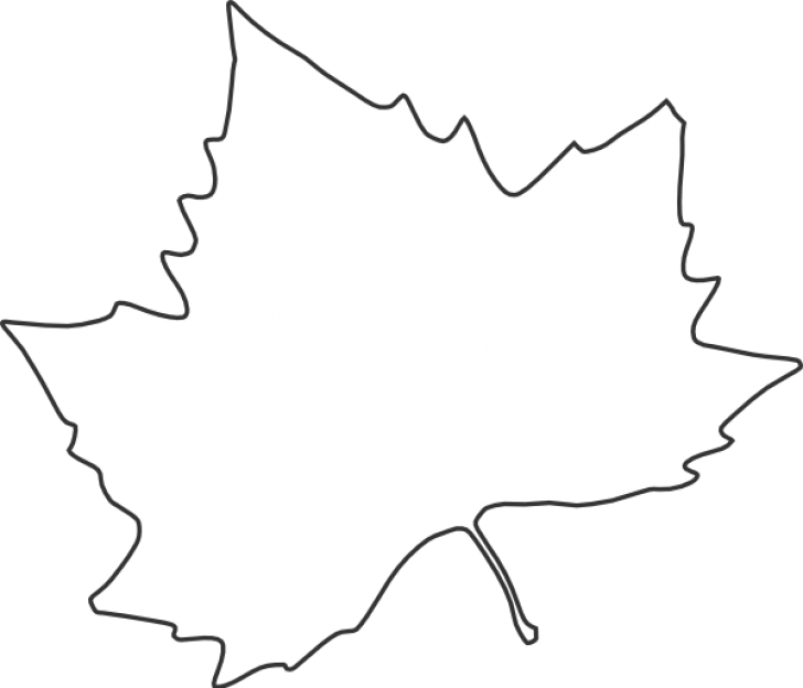 Download Leaf Clip Art Outline - ClipartKey