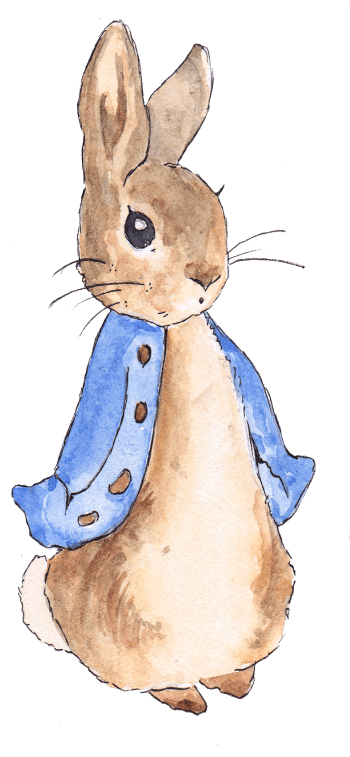 Download Peter Rabbit Png Free Library - Peter Rabbit - ClipartKey