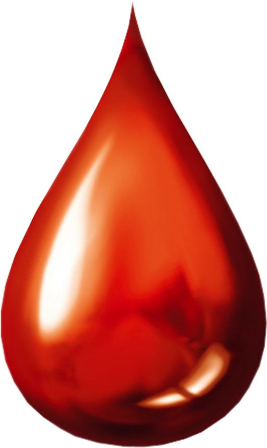 Download Transparent Blood Drop Png - Blood Drop Png Hd - ClipartKey