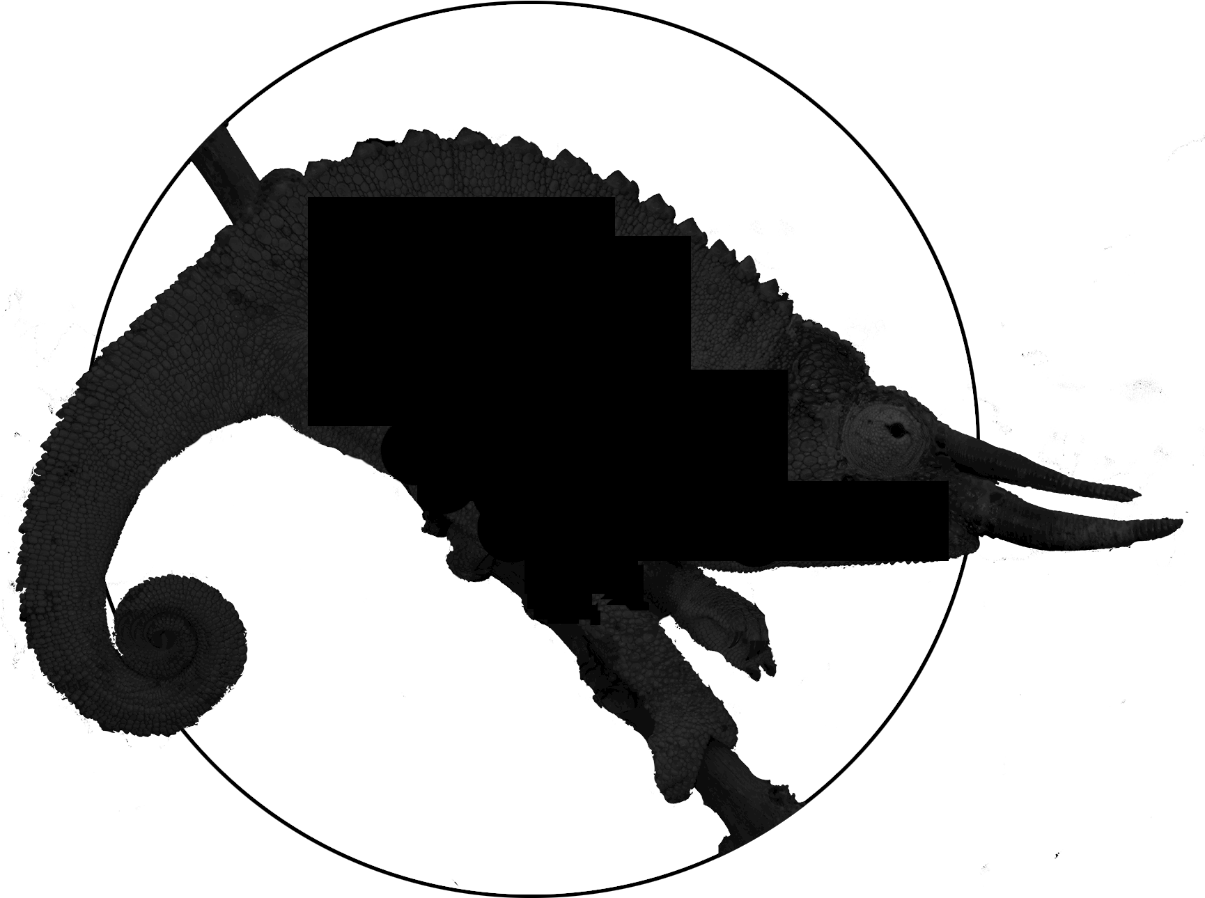 Download Jackson’s Chameleons - Jackson Chameleon Clipart - ClipartKey