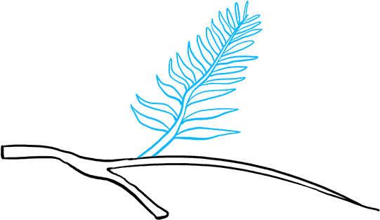 Download How To Draw Pinecone - Line Art - ClipartKey