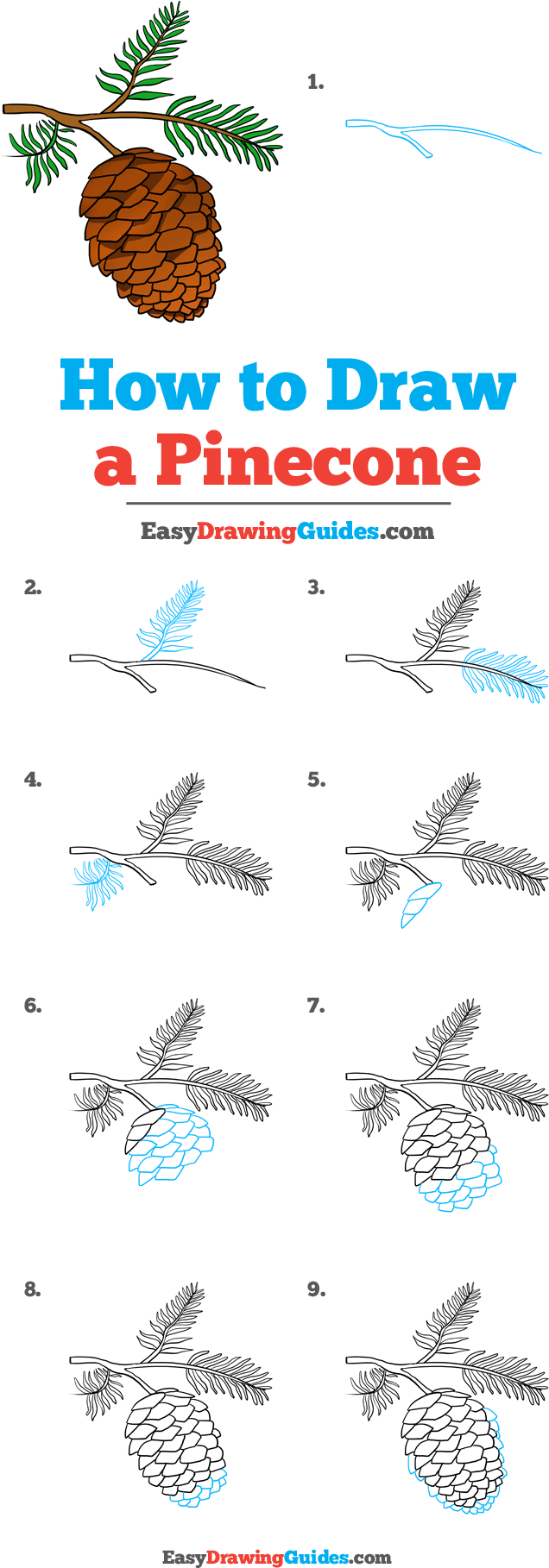 Download How To Draw Pinecone - Line Art - ClipartKey