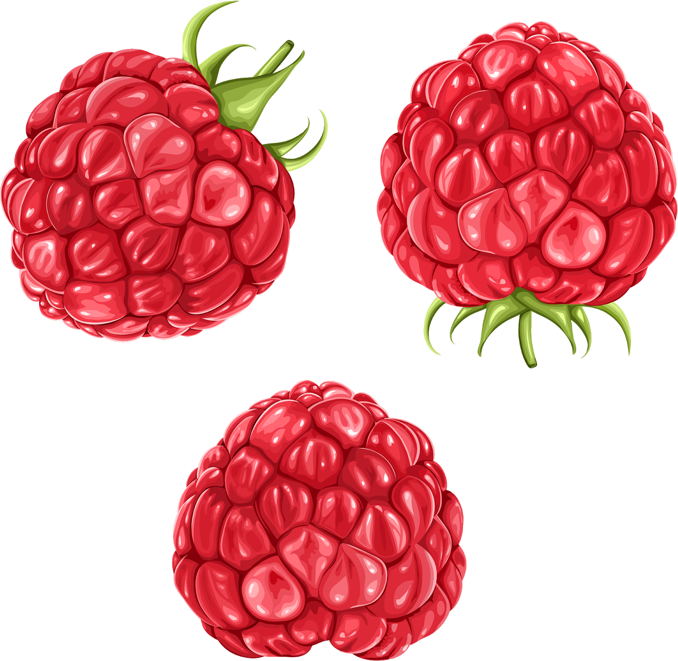 Download Berry Clipart Raspberry - Raspberries Clipart Transparent ...