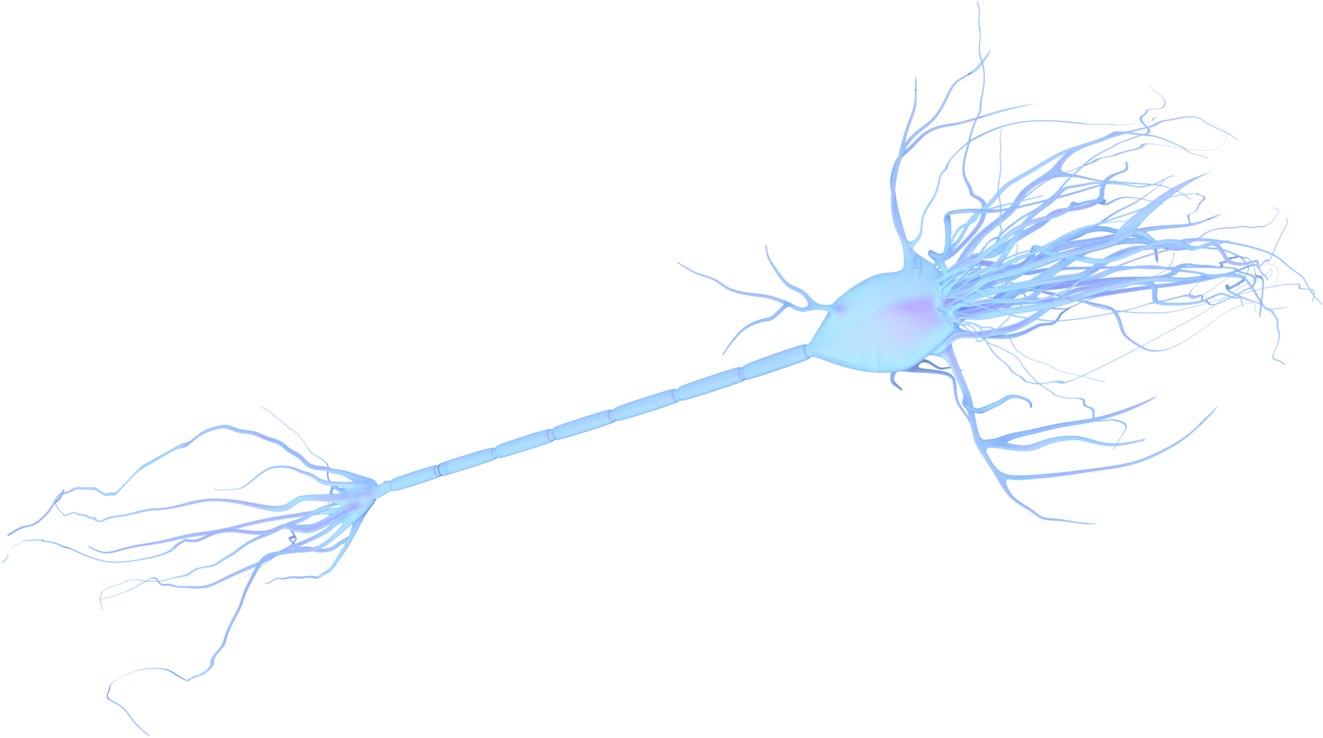 Download Transparent Neuron Clipart - Neuron Without Background ...