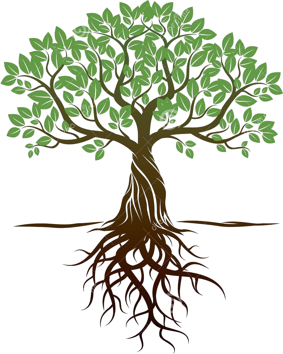 Download Transparent Roots Png - Tree Clipart With Roots - ClipartKey