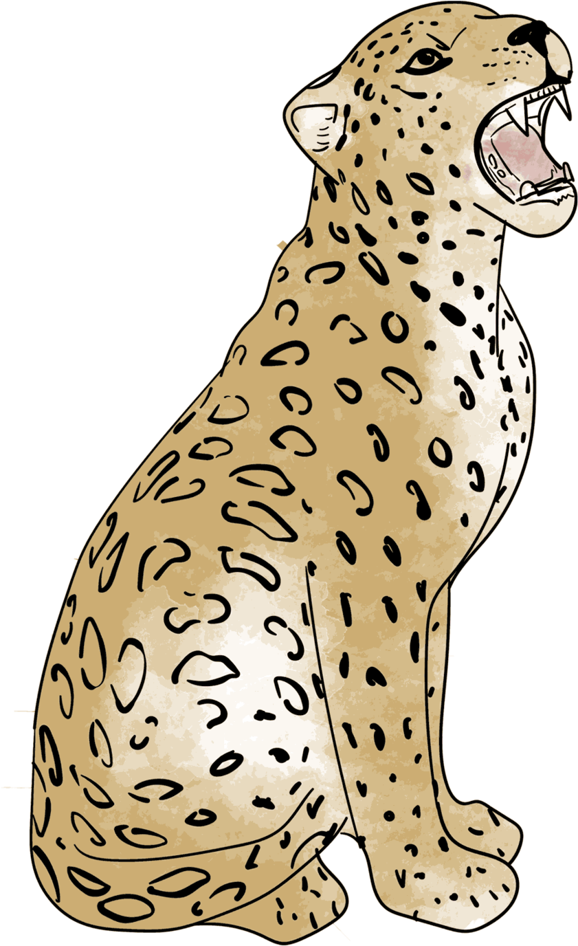 Download African Leopard - ClipartKey