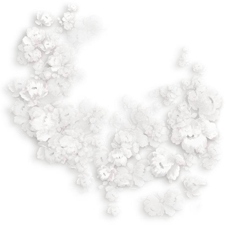 Download Life Clipart White Flower - White Flowers Drawing Transparent ... Download Life Clipart White Flower - White Flowers Drawing Transparent ...