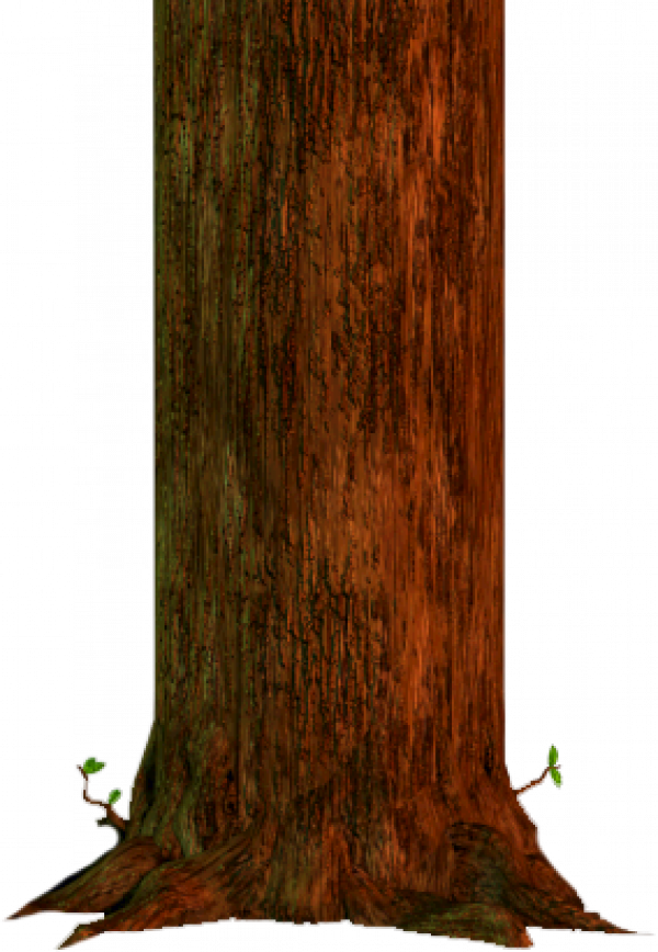 Download Tree Png Images Vector - Big Tree Wood Png - ClipartKey