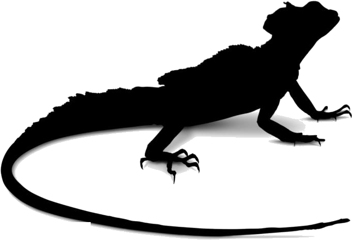 Download Transparent Lizard Clipart, Lizard Png Image - Lizard Png ...