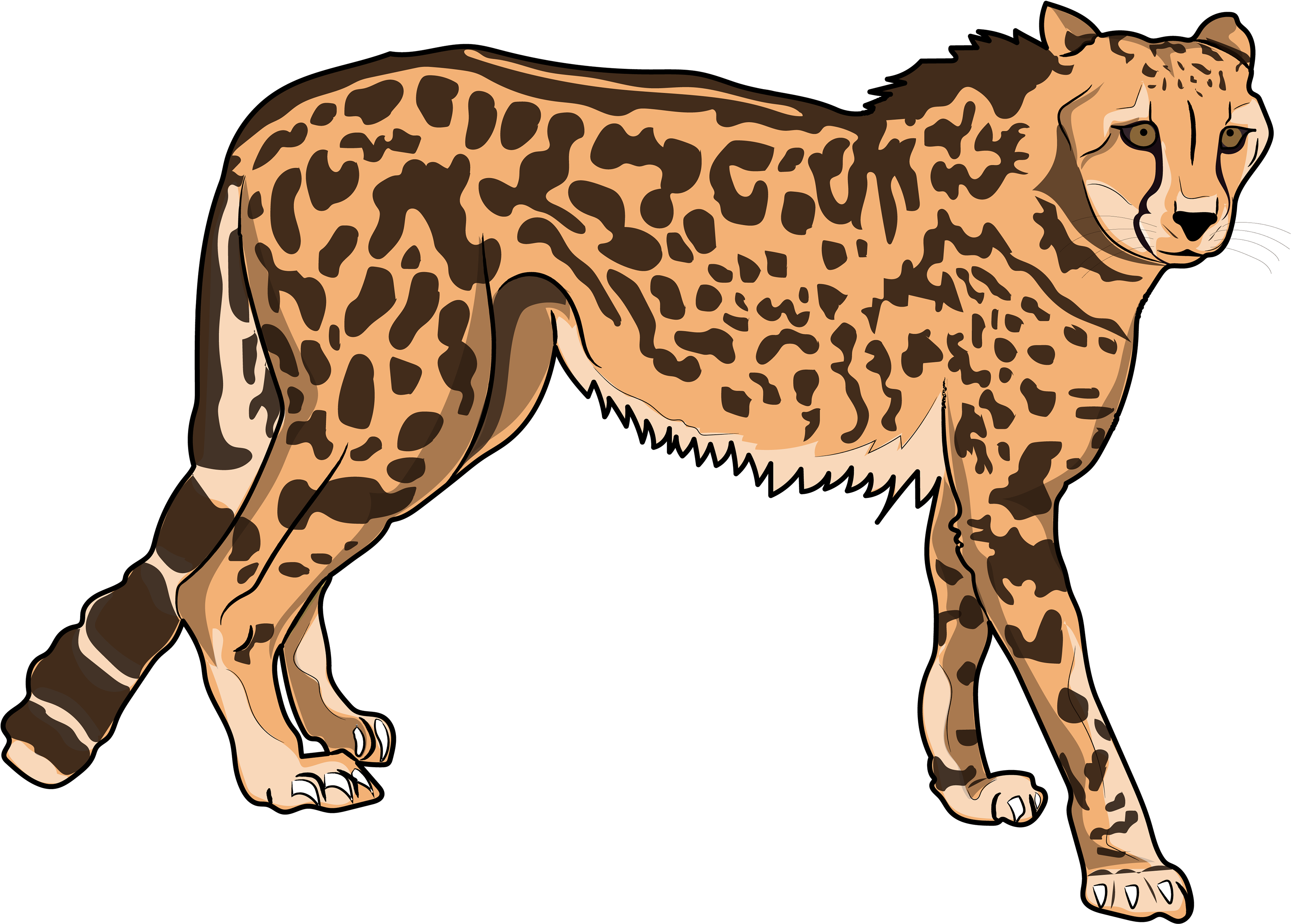 Download Transparent Zoo Animals Clipart - Cheetah - ClipartKey