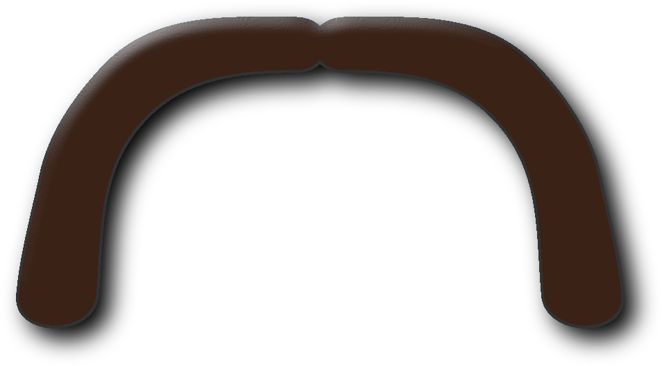 Download Transparent Real Mustache Png - Png Handlebar Moustache Png ...