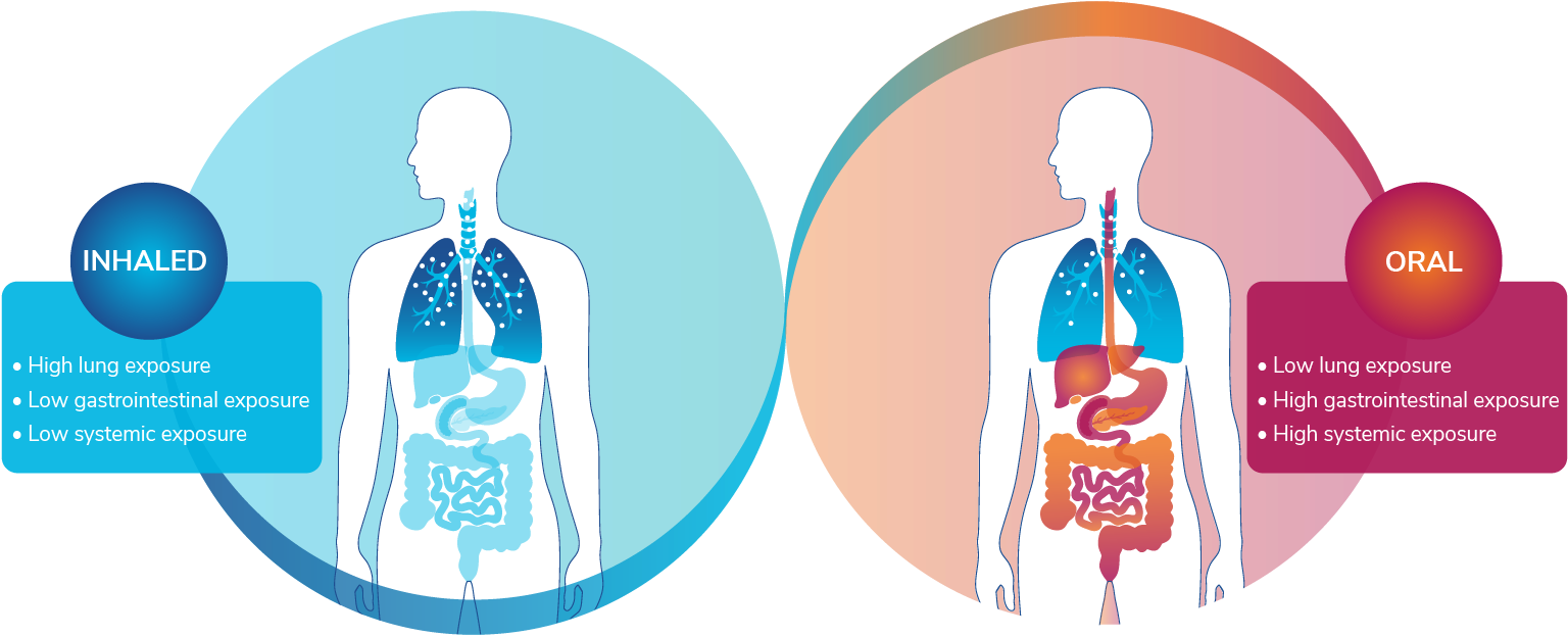 Download Advantages Of Inhaled Therapeutics Infographic - Illustration ...