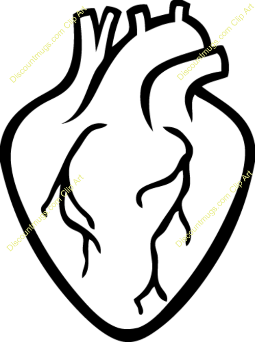 Download Real Heart Clipart Clip Art - Real Heart Clipart Outline ...