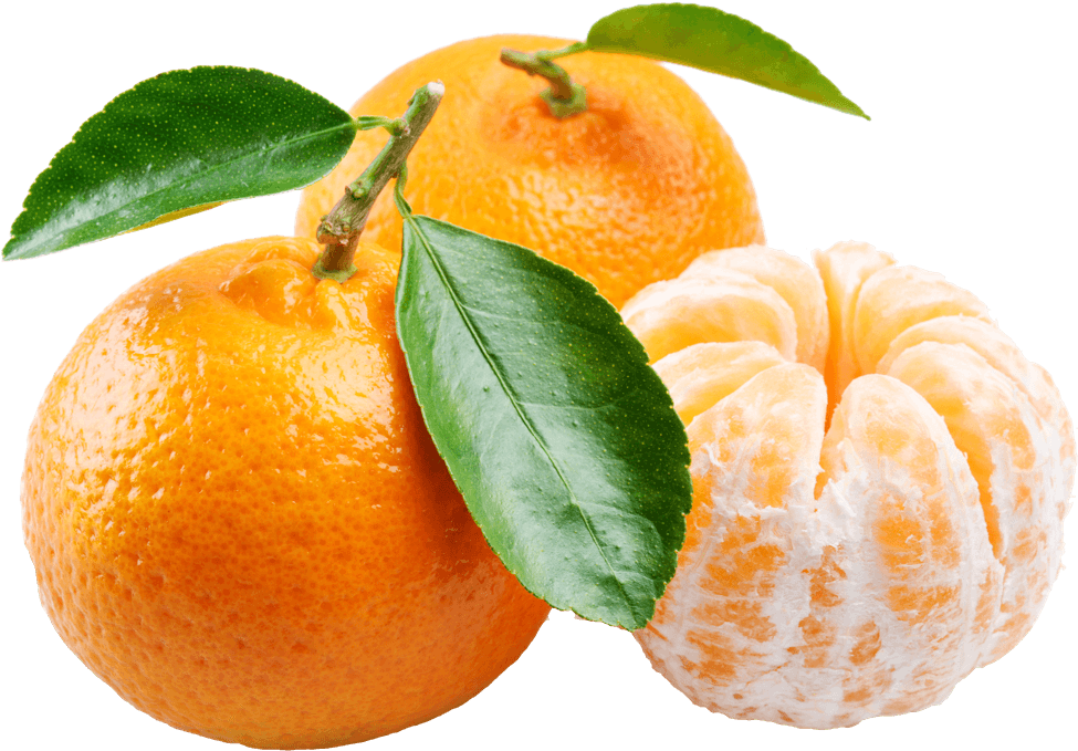 Download Page Clipart , Png Download - Ponkan Png - ClipartKey