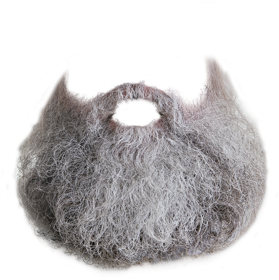 Download Beard Png - Long Whute Beard Png - ClipartKey