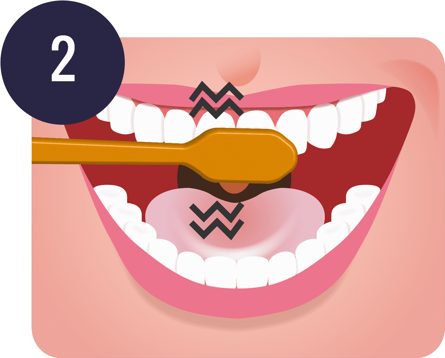 Download Free Download Brushing Teeth Png Clipart Tooth Brushing - Step ...