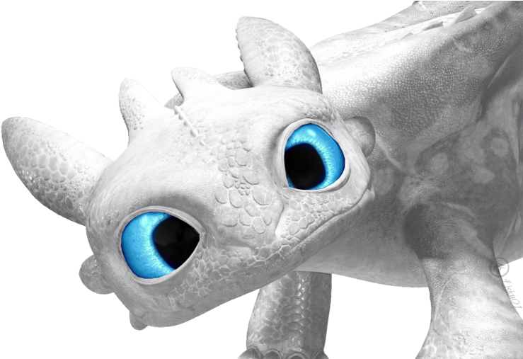 Download Download Httyd White Night Fury Clipart How To Train - Httyd ...