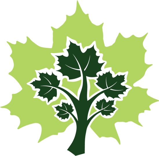 Download Microsoft Maple - ClipartKey