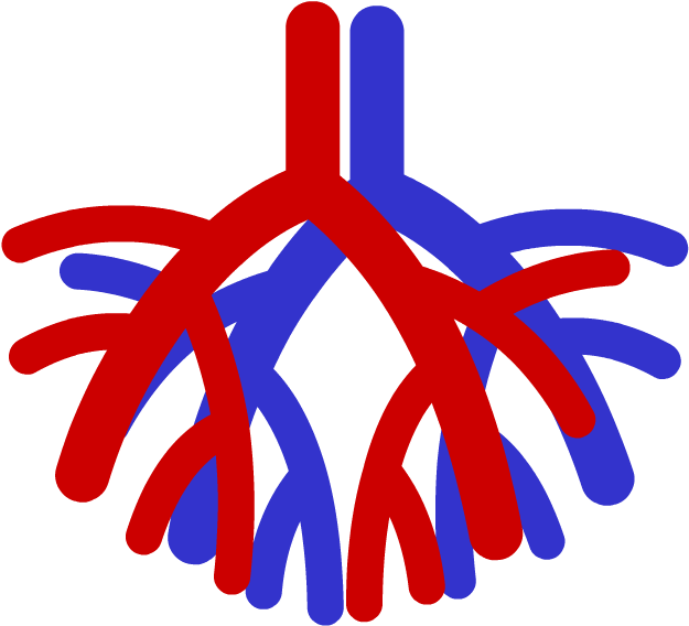 Download Circulatory System Symbol - ClipartKey