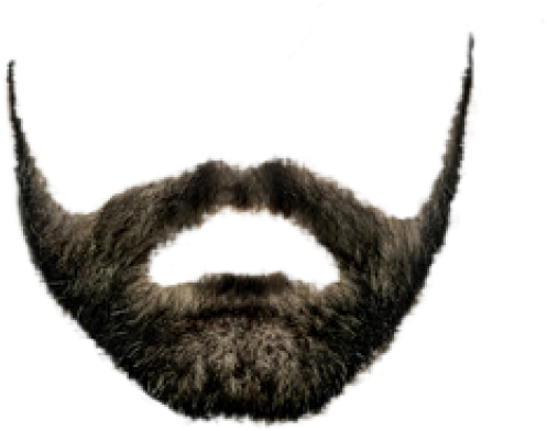 Download Transparent Background Beard Png - ClipartKey