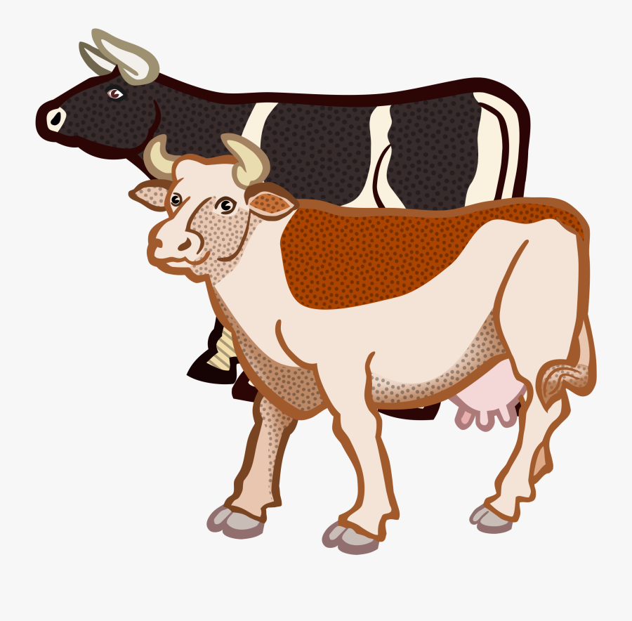Cows - Coloured - Pair Of Cow Clipart , Free Transparent Clipart ...