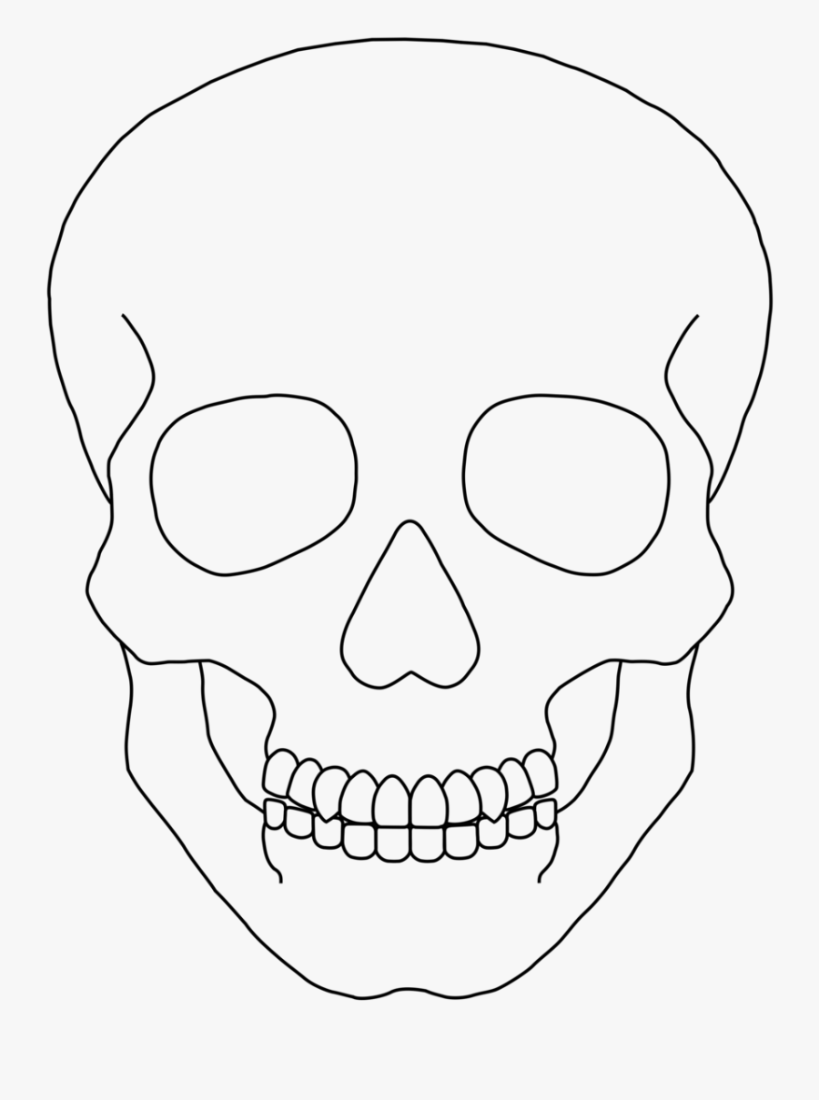Skeleton Clipart Plain Simple Human Skull Drawing Free Transparent 