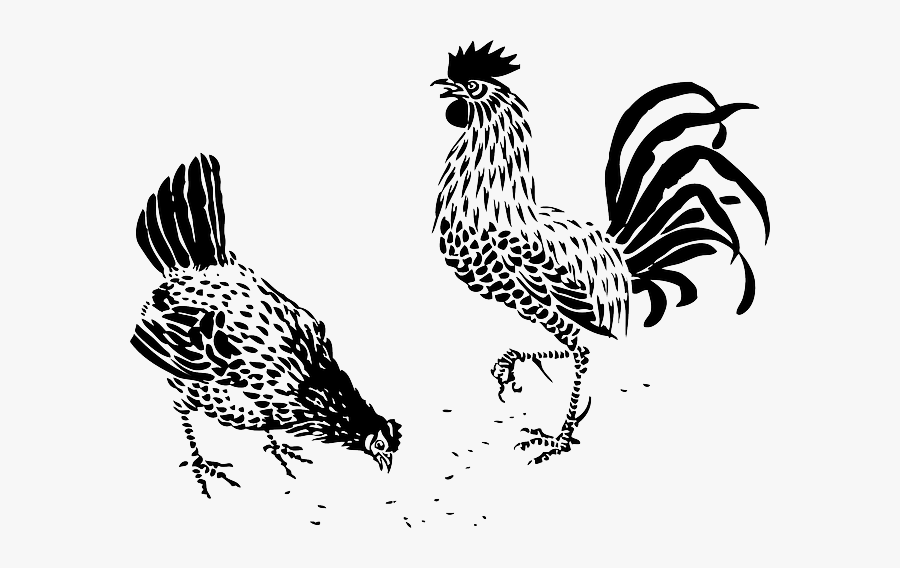 Chicken Eating Vector Png , Free Transparent Clipart - ClipartKey