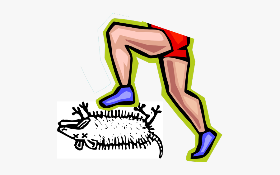 Clip Art Road Kill , Free Transparent Clipart - ClipartKey