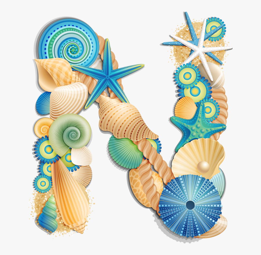 Clipart Transparent Background Seashells , Free Transparent Clipart ...