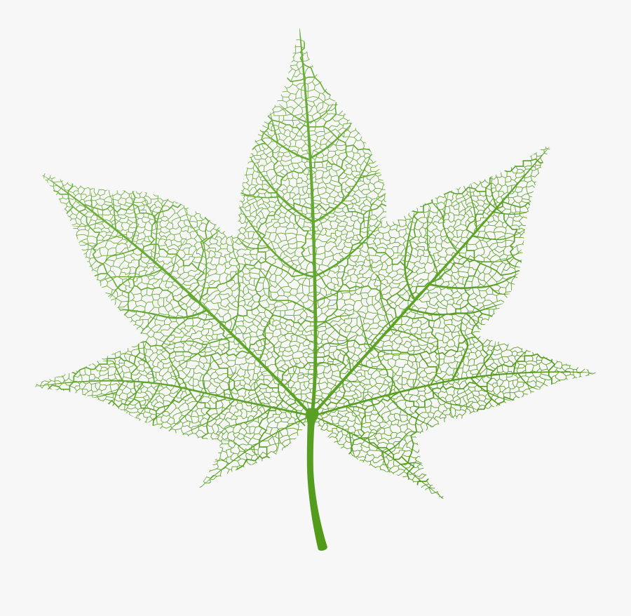 Transparent Green Autumn Leaf Png Clip Art Image - Transparent ...