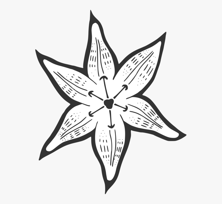 Fish Clipart Bitmap Files , Free Transparent Clipart - ClipartKey