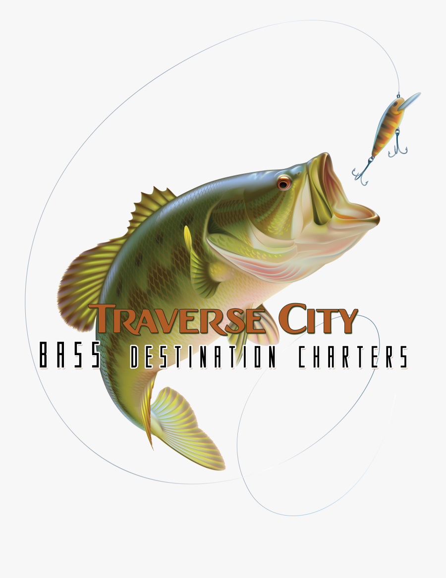 Largemouth Bass - Transparent Background Largemouth Bass Png , Free ...