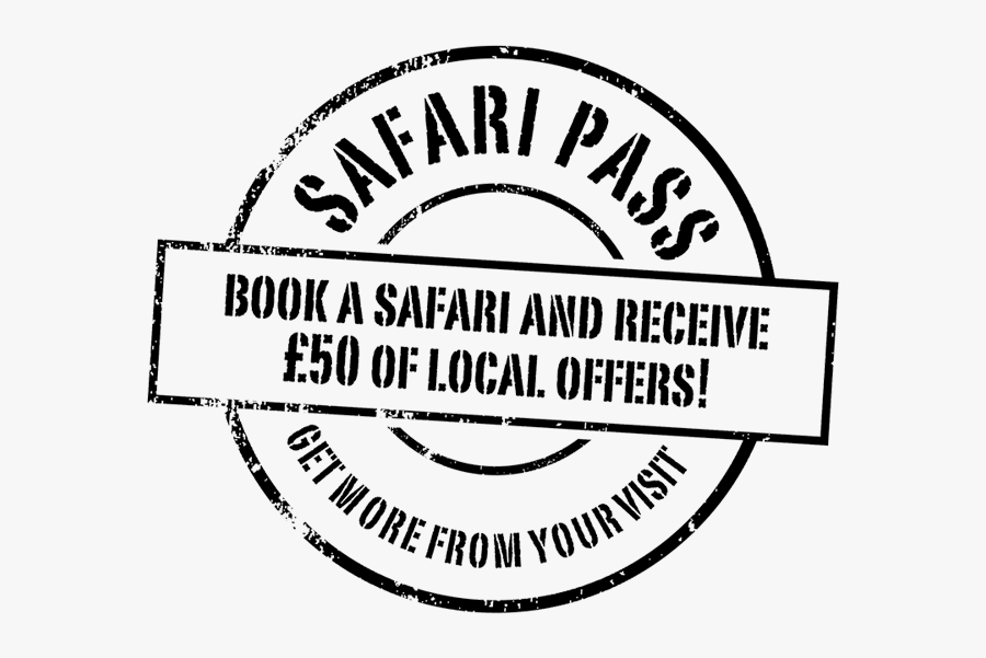 Postage Stamps Rubber Stamp Label Radar Detector Logo - Circle , Free ...