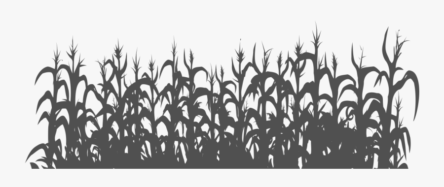 Cornfield Vector Transparent 2 Img1060 - Silhouette Corn Field Vector , Free Transparent Clipart ...
