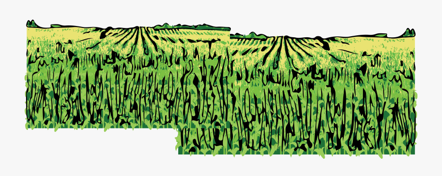 Transparent Prairie Clipart - Cartoon Corn Field , Free Transparent ...