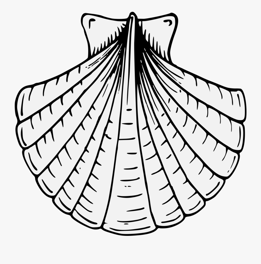 Shell Clipart Heraldic Scallop - Shell Heraldry , Free Transparent ...