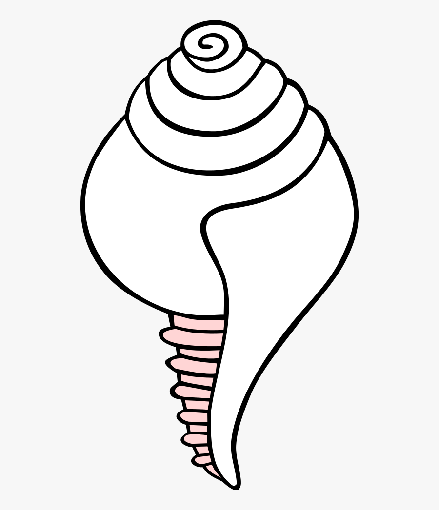 White Conch Symbol - Conch Shell Clip Art , Free Transparent Clipart ...