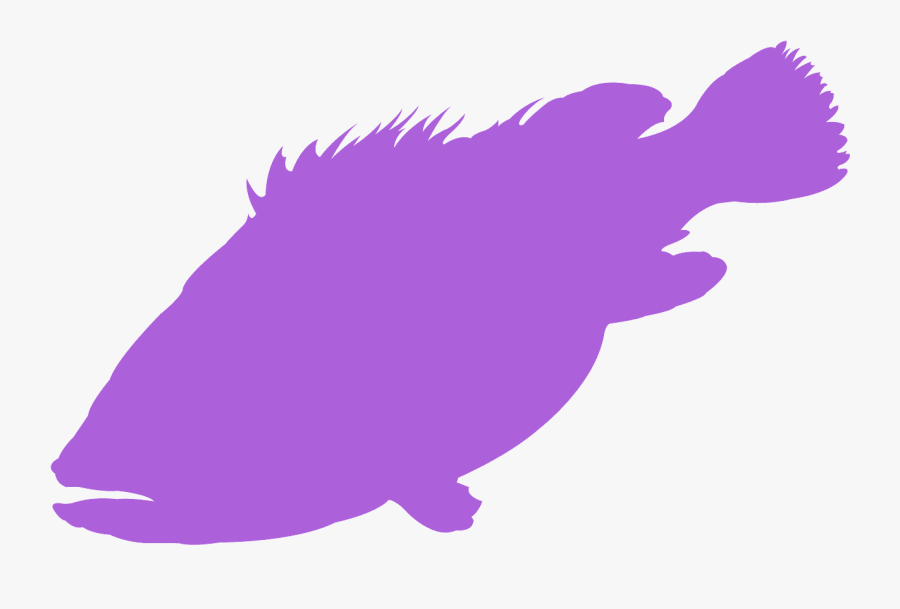 Blue Groper Clipart , Free Transparent Clipart - ClipartKey