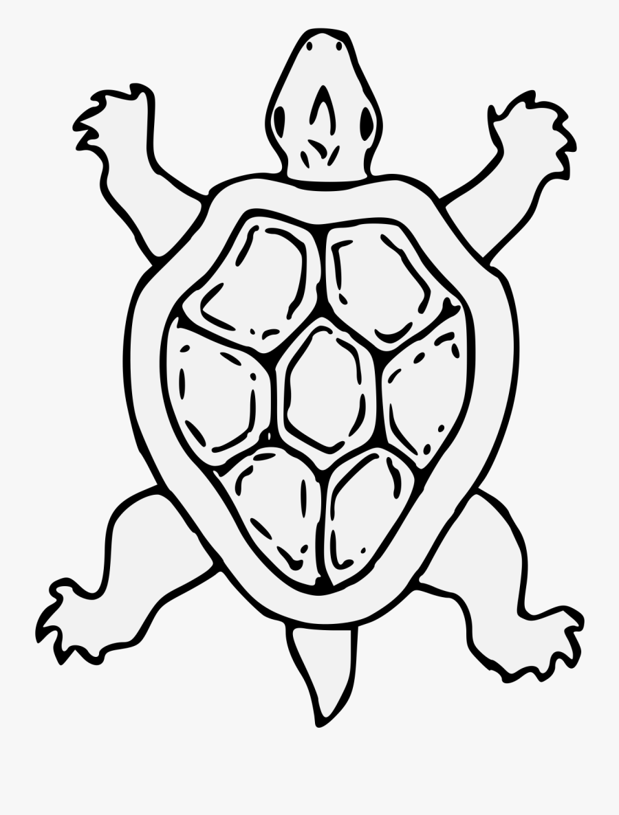 Turtle Heraldry , Free Transparent Clipart - ClipartKey