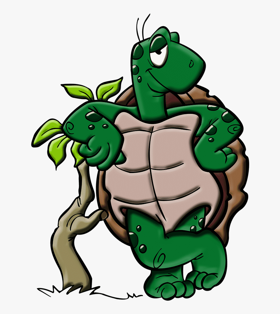 Tortoise Cartoon , Free Transparent Clipart - ClipartKey