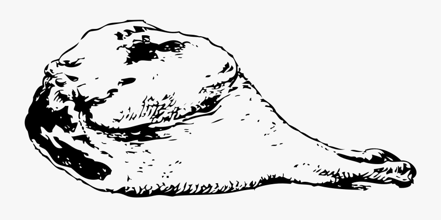 Leg Of Mutton - Leg Of Lamb Drawing , Free Transparent Clipart - ClipartKey