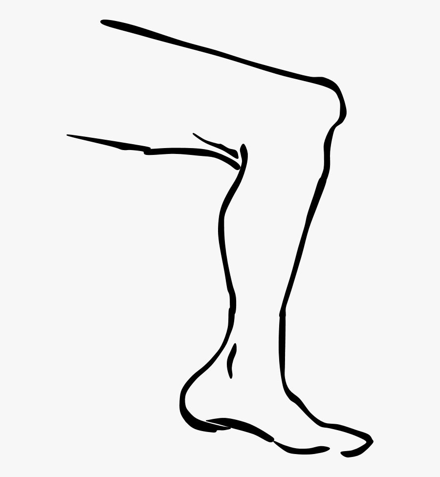 Transparent Body Parts Clipart - Clip Art Body Part S , Free ...