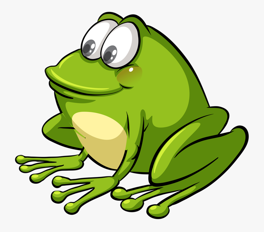 Frog Flashcard , Free Transparent Clipart - ClipartKey